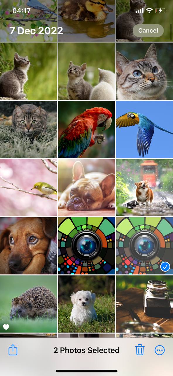 Tried and Tested Ways to Clean up Photos on iPhone With iOS 17